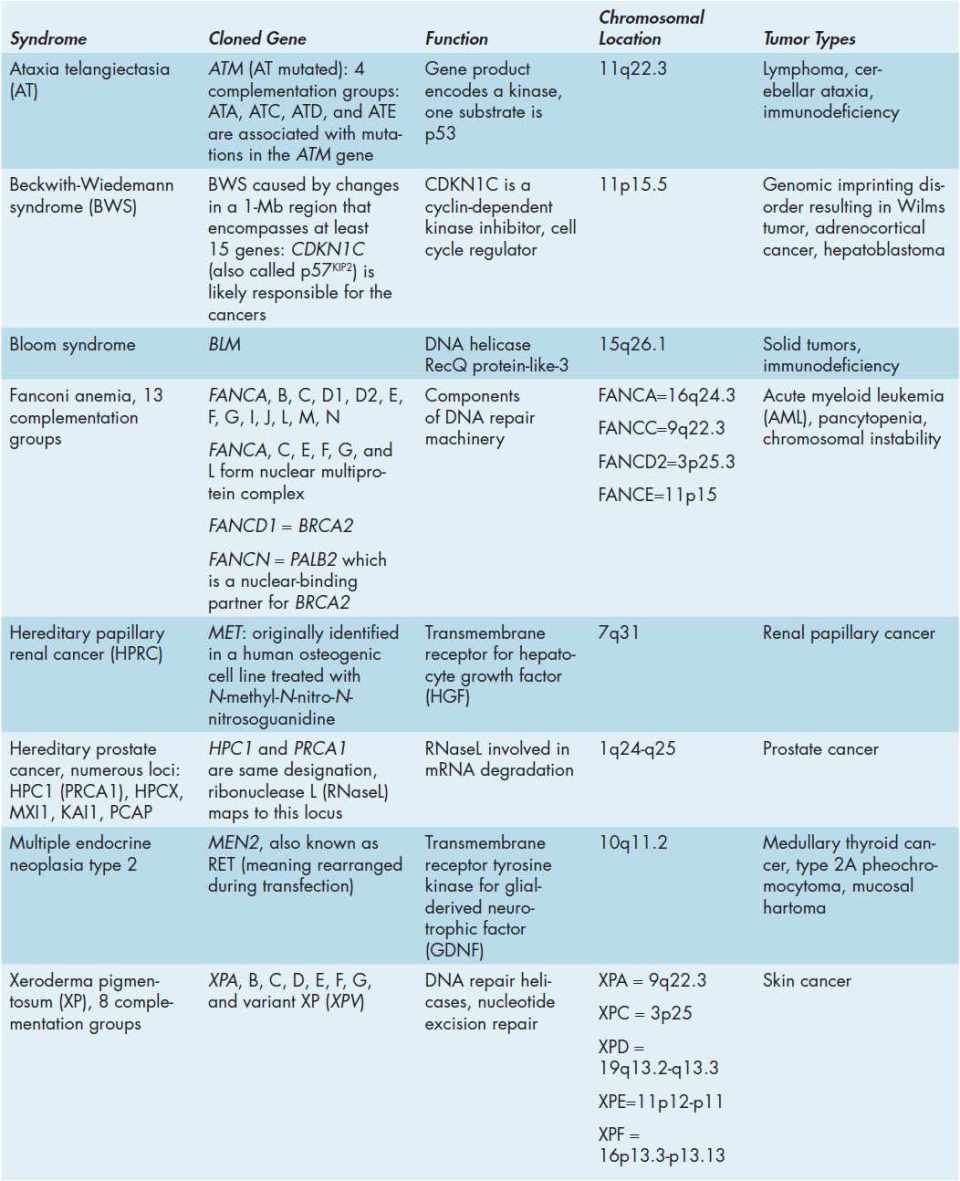 52 Cancer Biology | Basicmedical Key