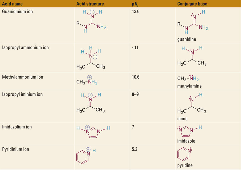 Acid-Base Chemistry of Organic Molecules | Basicmedical Key