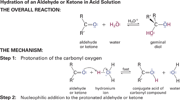 Reactions of Carbonyl Species | Basicmedical Key