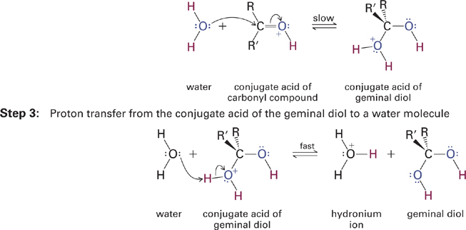 Reactions of Carbonyl Species | Basicmedical Key