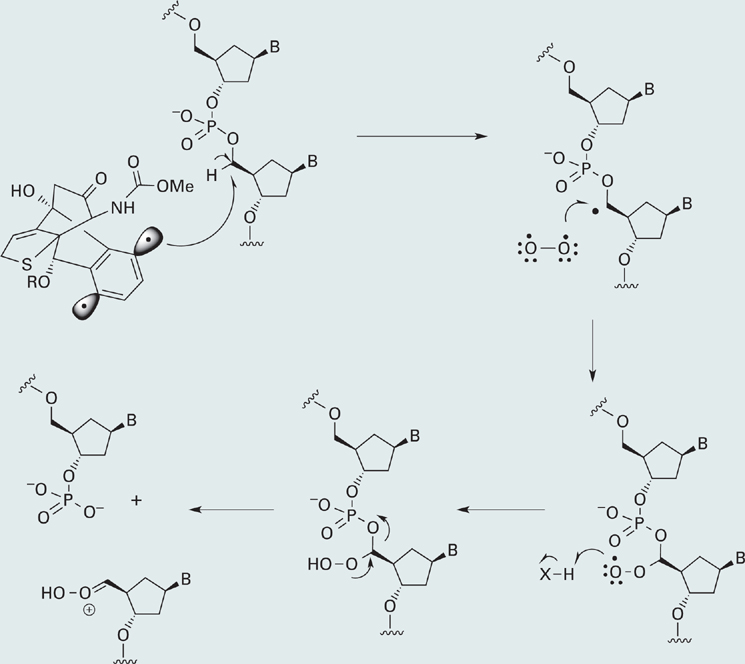 Study—Calicheamicin γ1 | Basicmedical Key