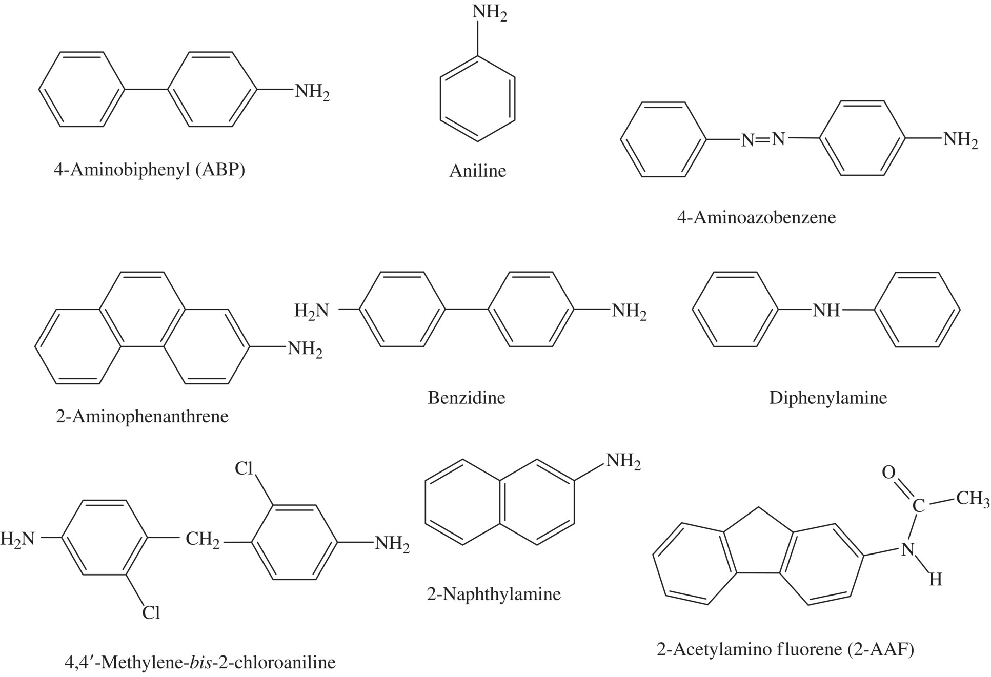 CHEMICAL CARCINOGENESIS | Basicmedical Key