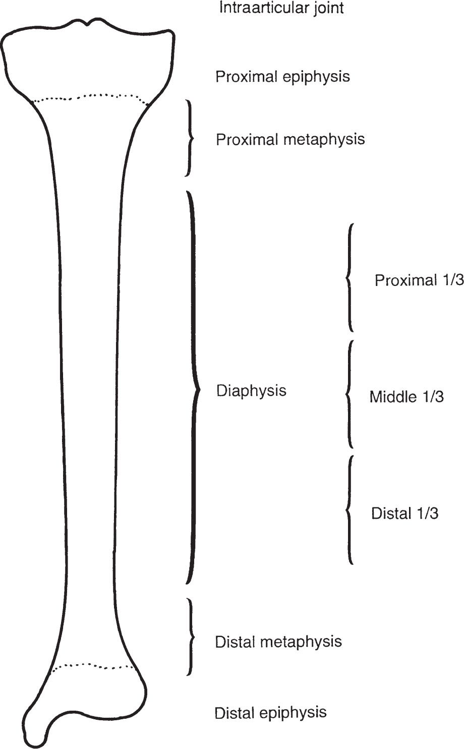Orthopedic Surgery: Diseases Of The Musculoskeletal System ...