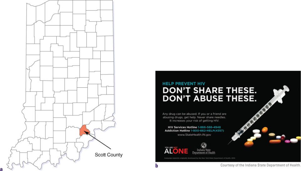 Human Immunodeficiency Virus (HIV) | Basicmedical Key