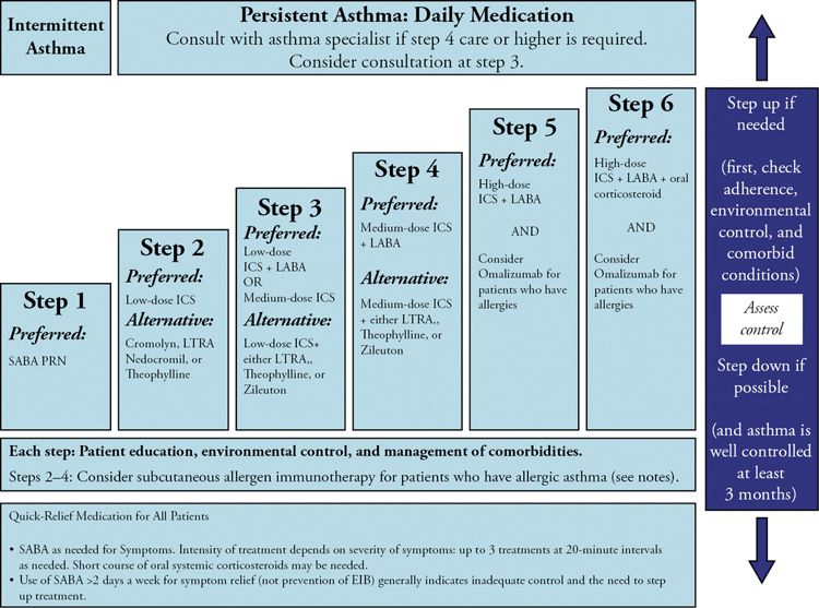 Asthma | Basicmedical Key
