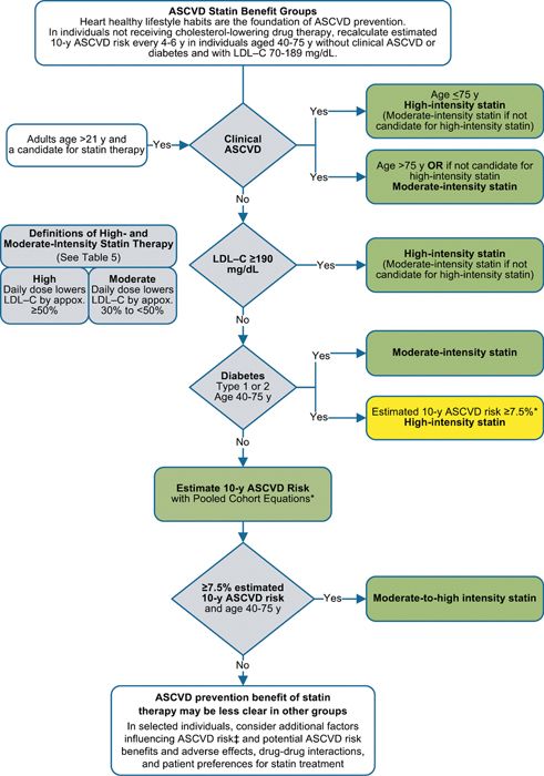 Internal Medicine Summary | Basicmedical Key