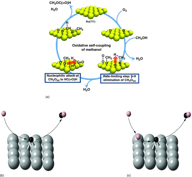 Reaction dynamics II: Catalysis, photochemistry and charge transfer ...