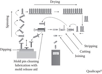 Capsule Shell Manufacture | Basicmedical Key