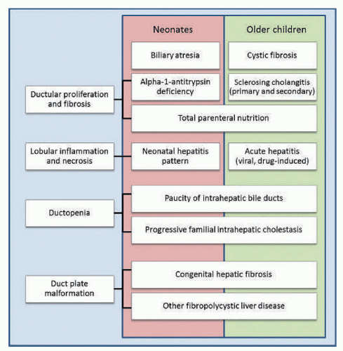Pediatric Cholestatic Liver Disease | Basicmedical Key
