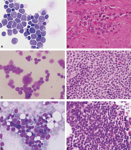 Cutaneous B-Cell Immunobiology | Basicmedical Key