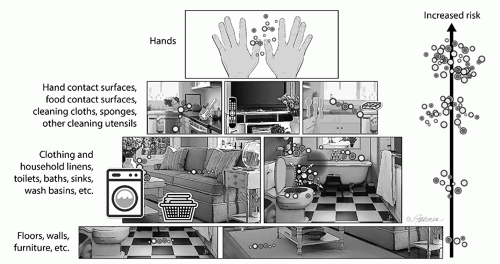 Targeted Decontamination of Environmental Surfaces in Everyday Settings ...