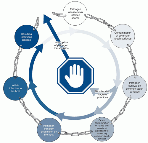Targeted Decontamination of Environmental Surfaces in Everyday Settings ...