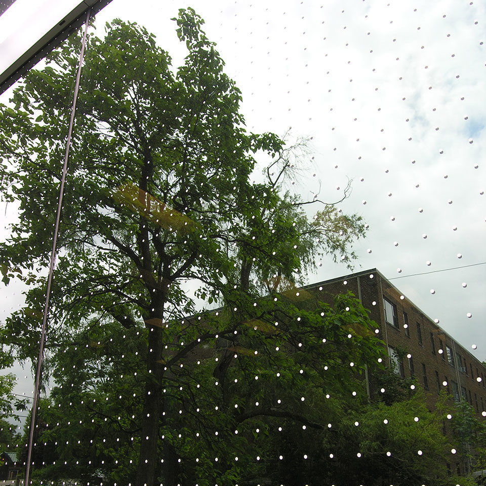 Bird-friendly glass is critical to the health of the bird population ...