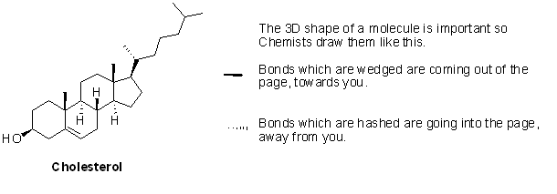 Molecule of the month – cholesterol | Bench 21
