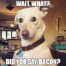 37 Funny Bacon Memes for 2025 - BENSA Bacon Lovers Society