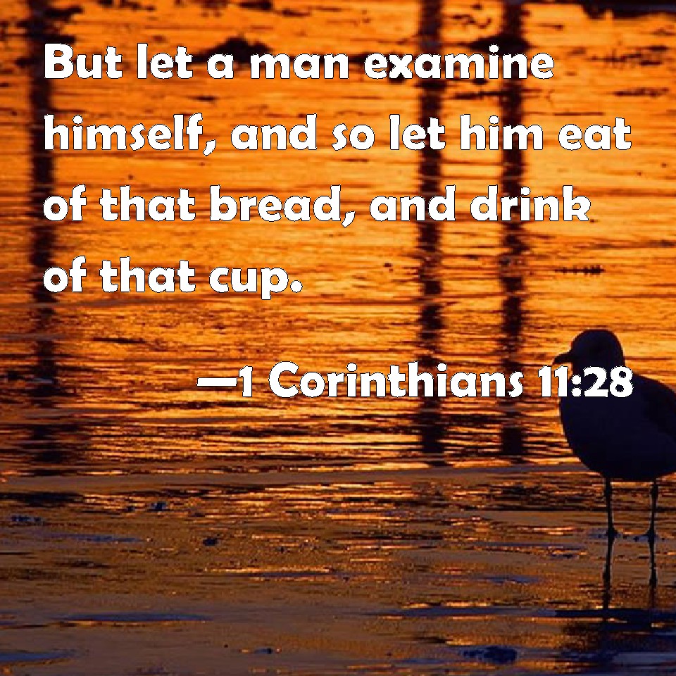 The Reason…. | reflectgrace