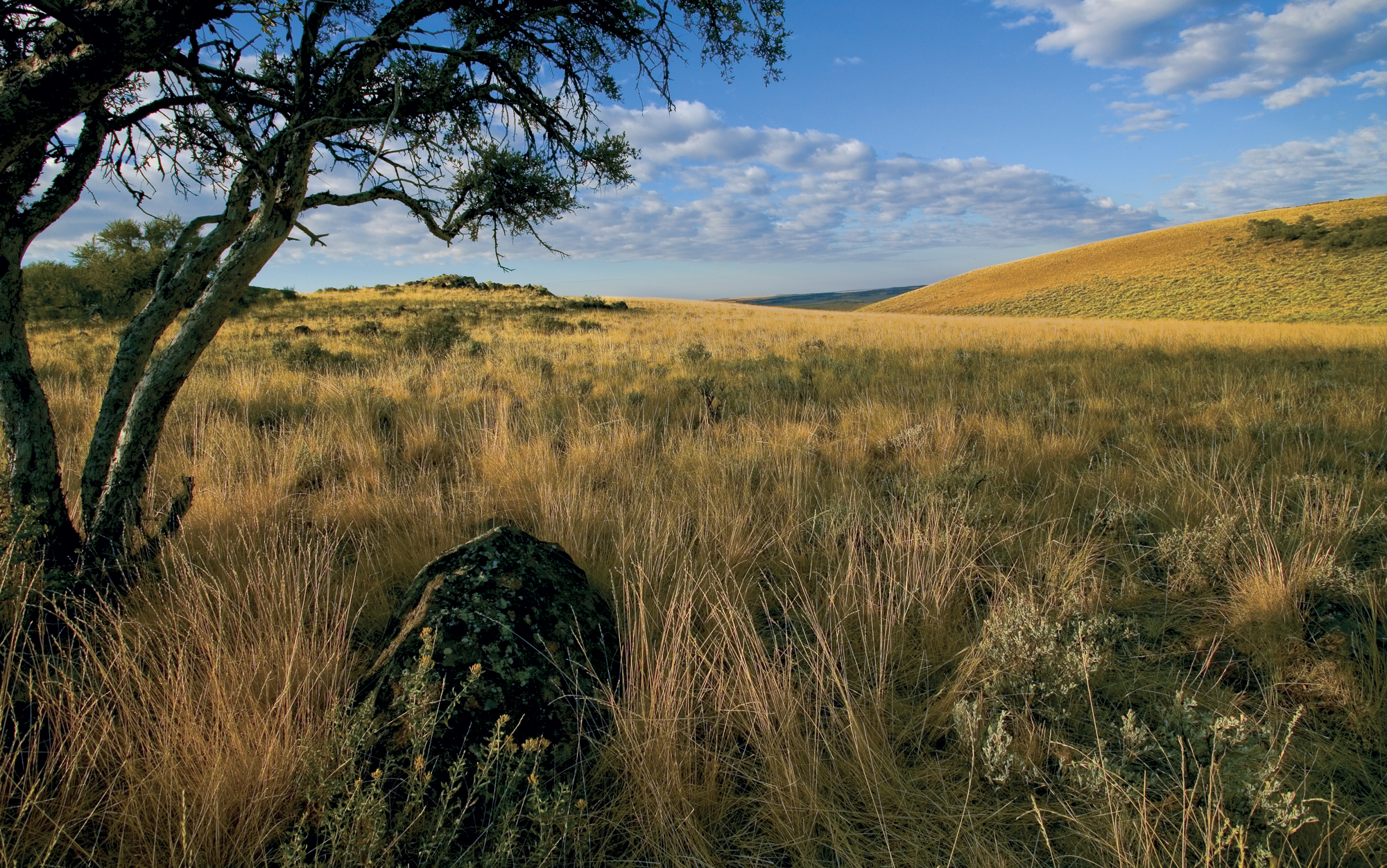 Hunting Among Indians - Big Sky Journal