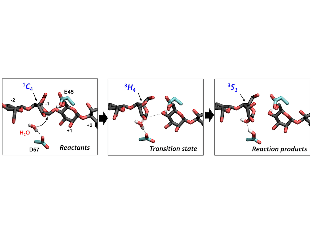 QM/MM Best Practice Workshop webinar: Modeling catalytic mechanisms in ...