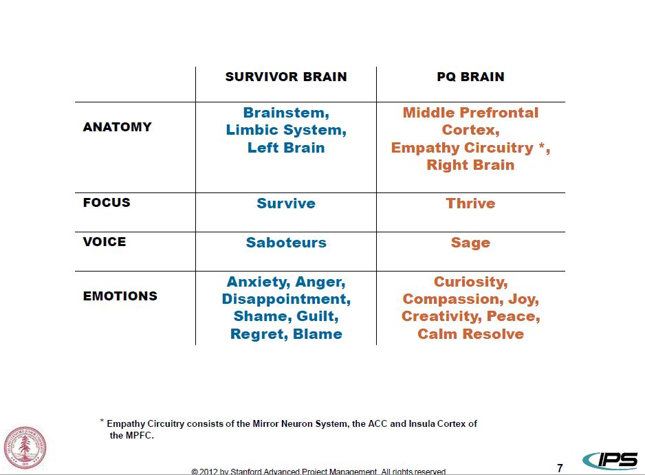 Positive Intelligence | Bits Of Knowledge