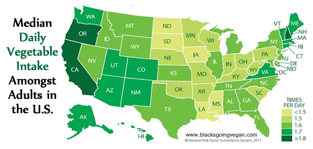 The Average American - Food Intake Over a Year - Blacks Going Vegan ...