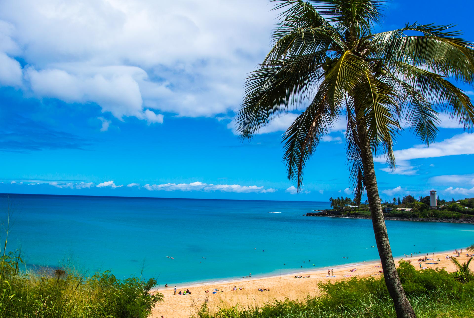 Our Favorite Oahu North Shore Beaches - BLN