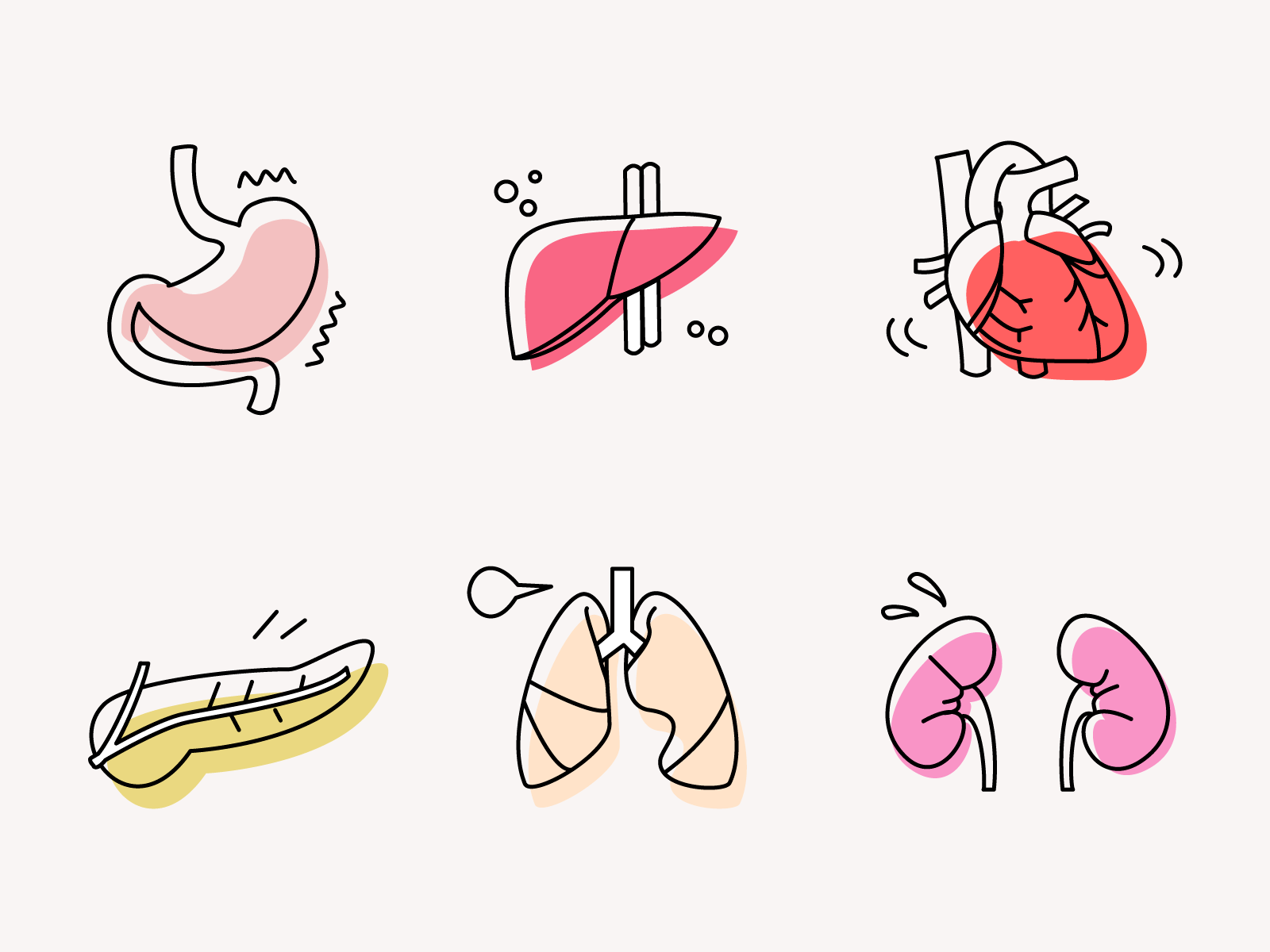 Vocabulary related to internal organs in French - Blog Albert Learning
