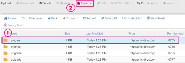 Get Wordpress Multisite Redirect Loop Math Kekouda