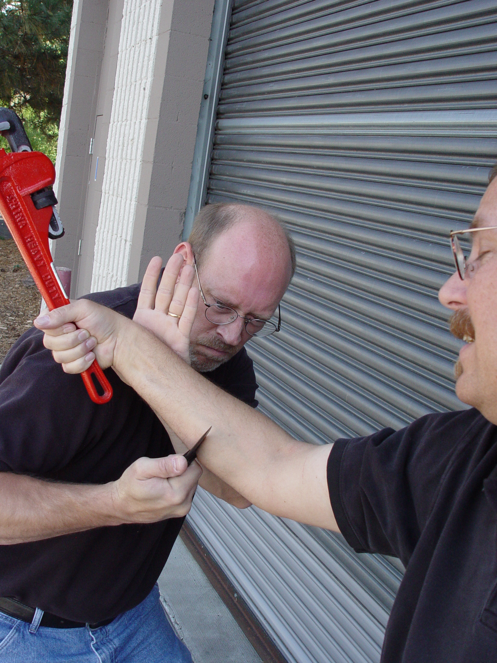 Knife Targeting Priorities - Defanging More Than The Snake! | American ...