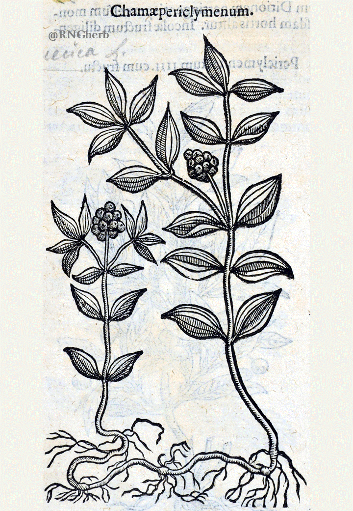 Colour with Clusius | Culham Research Group