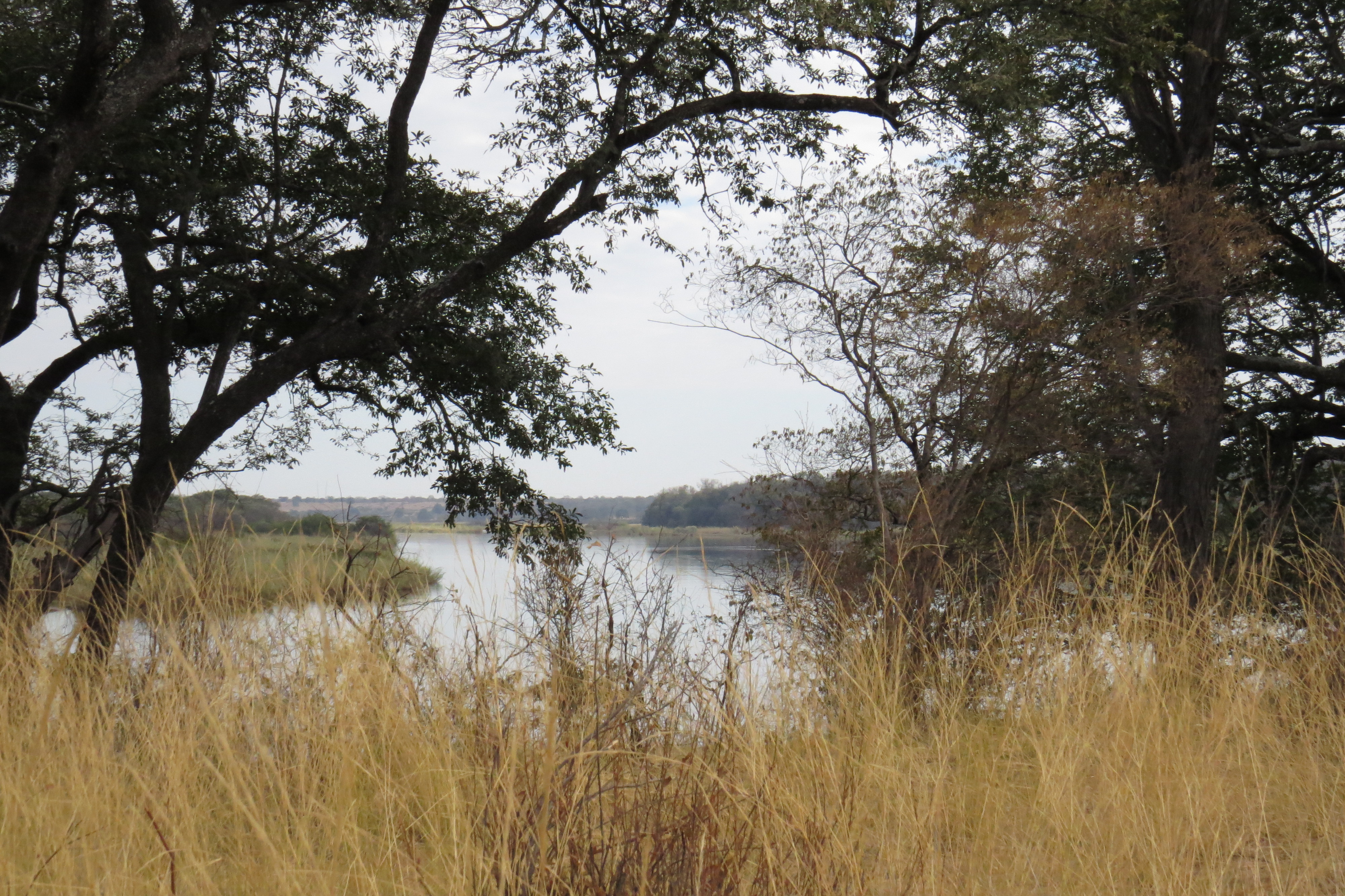 Larking About in Namibia. Divundu, Nunda Camp, Mahango and Buffalo Game ...