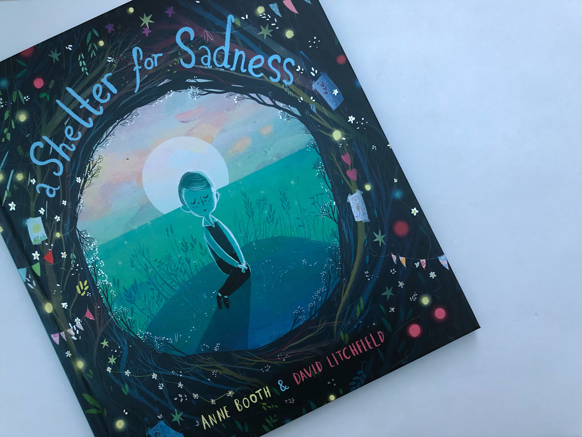 Blog Tour: A Shelter for Sadness by Anne Booth and David Litchfield ...