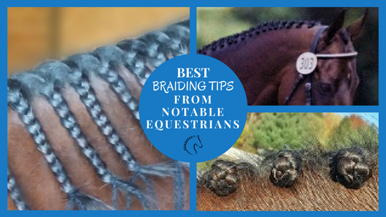 BEST MANE BRAIDING TIPS FROM NOTABLE EQUESTRIANS - Braid Secrets