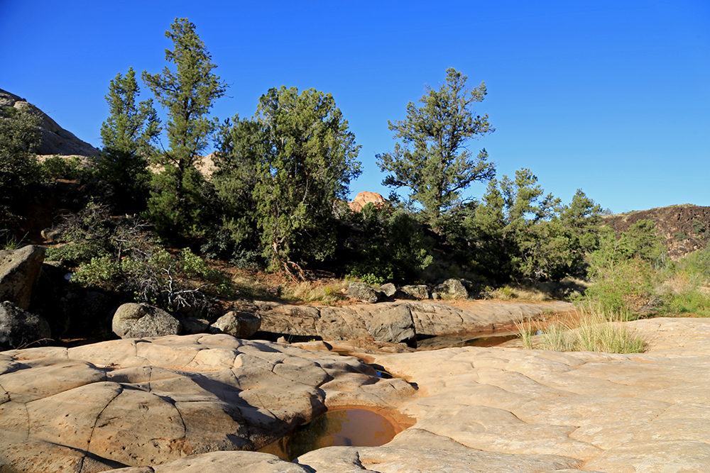 Finding The Vortex – Brian Passey