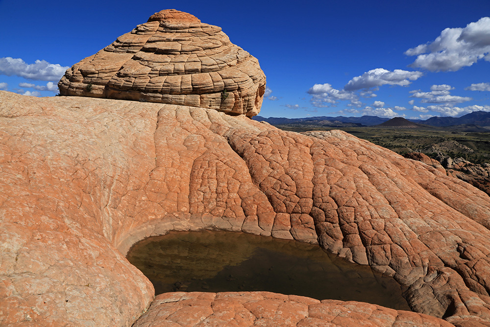 Finding The Vortex – Brian Passey