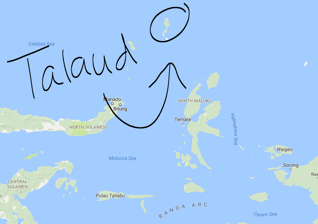 Talaud – Indonesia – Better Than Expected – BUDGET BIRDERS
