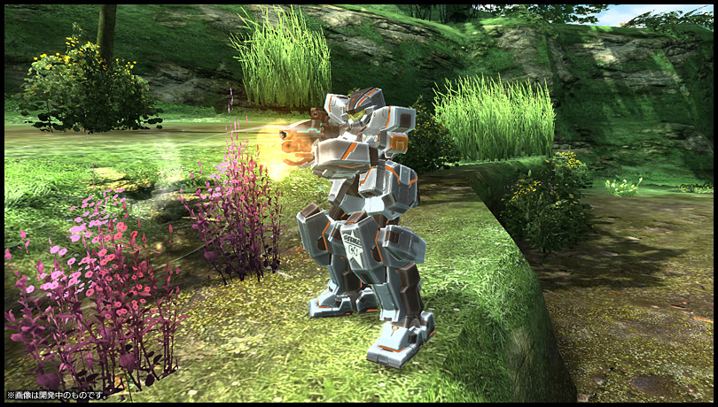 Phantasy Star Online 2: Races and Classes | PSUBlog