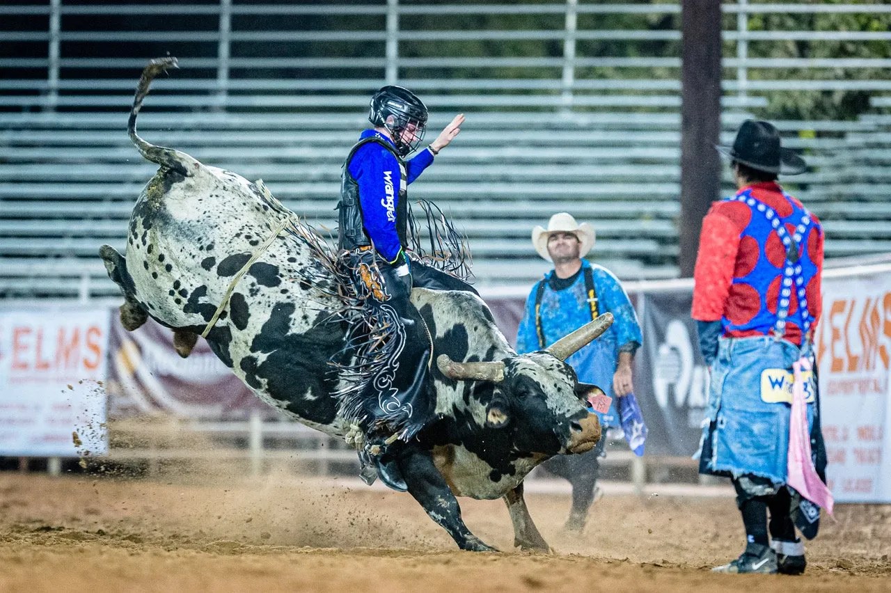 Virtual Cattle Call Keeps Traditions Alive - Calexico Chronicle