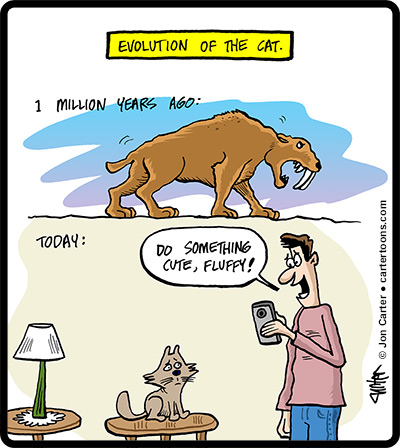 Download Funny Cat Cartoons | Cartertoons