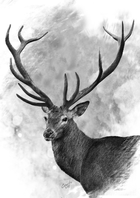 Ilustraciones y diseño de portada de Los venados del Abanico de ...