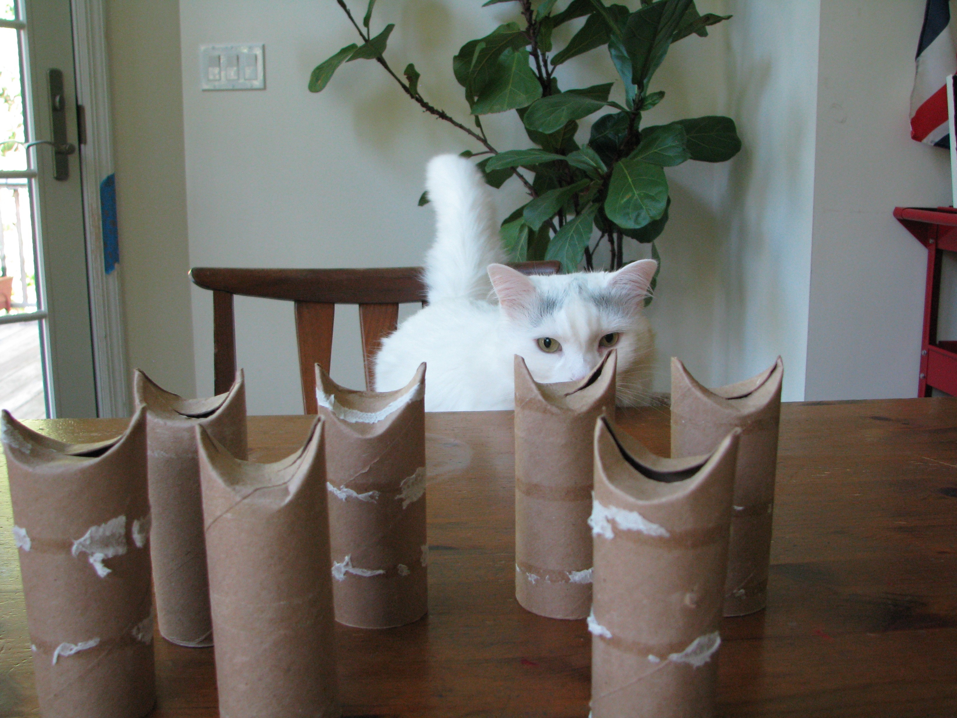 Cat Crafts - Cardboard Roll Kitties | Cat-Opedia
