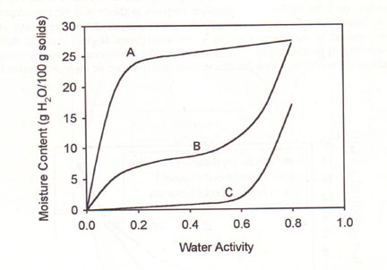 Water Activity | Lab Cat