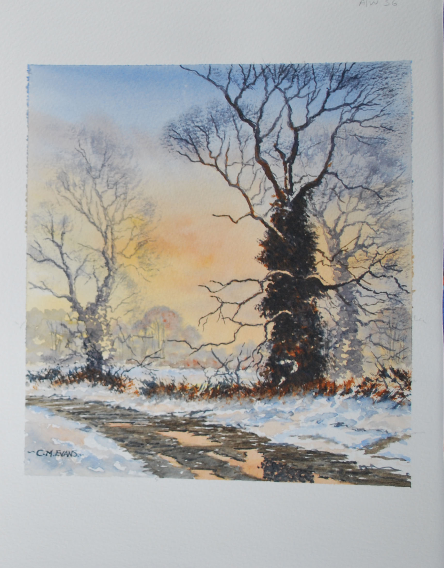 New Paintings – Charles Evans Art