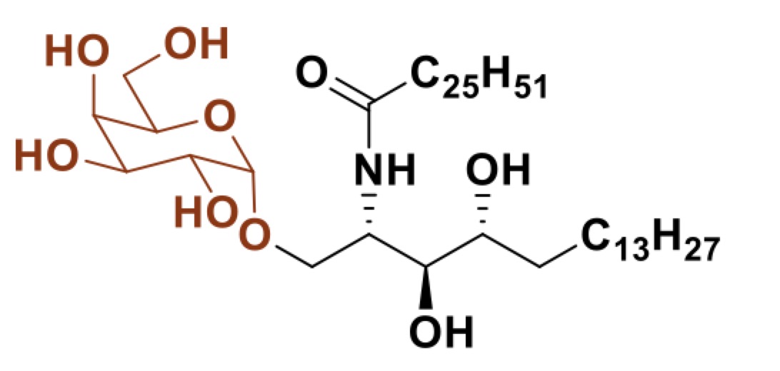 Glycolipids – ChemBind