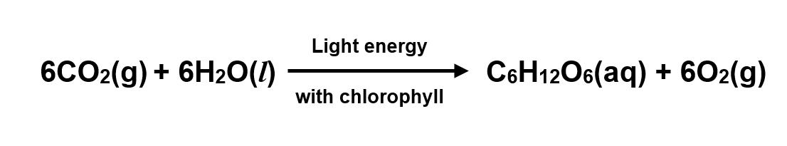 Redox and photosynthesis: A simple concept, a complicated procedure