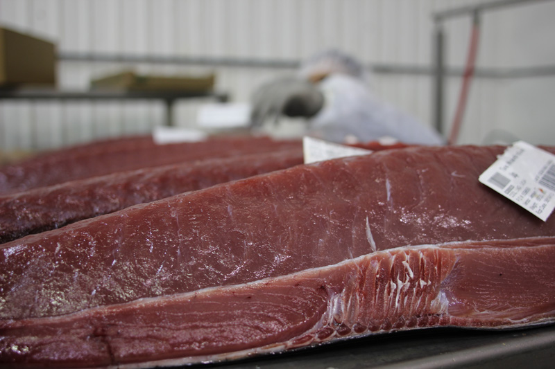 Inside the hidden world of a fish distributor - Chicago Reader