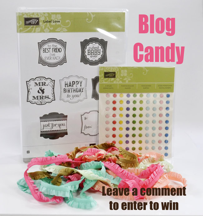 Blog Candy - Chic n Scratch