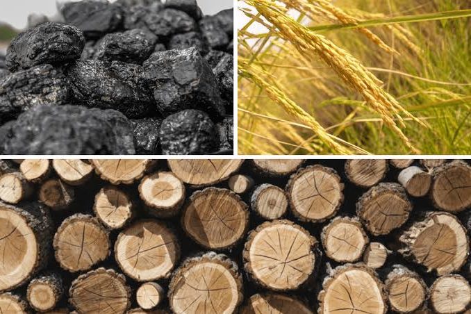 Natural Resources - Raw Materials (Primary 4) - ClassRoomNotes