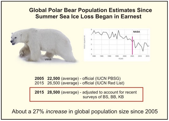 Global polar bear population larger than previous thought ‚Äì almost ...