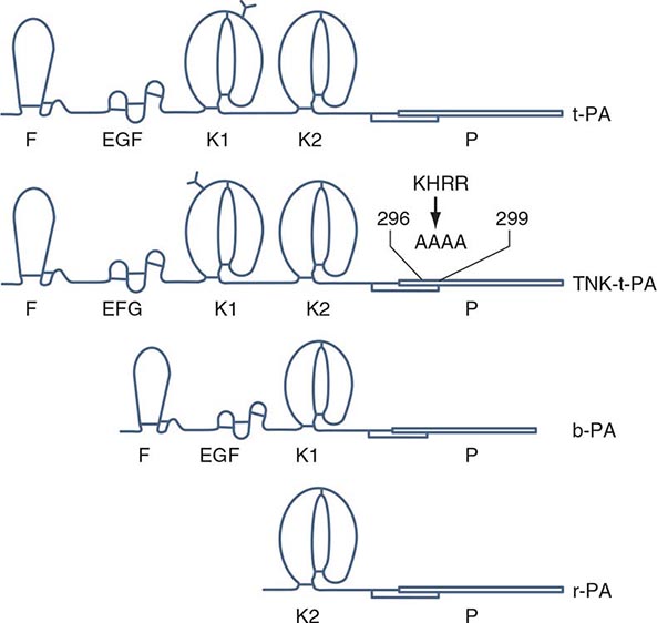 Coagulation Disorders | Clinical Gate