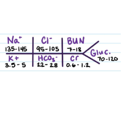 Diagnostic schema – The Clinical Problem Solvers